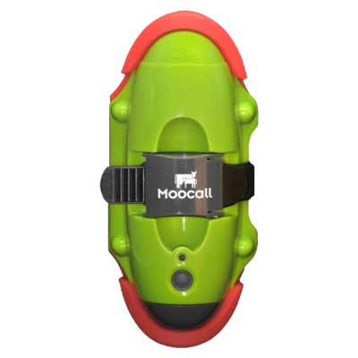 Moocall Calving Sensor | Moocall