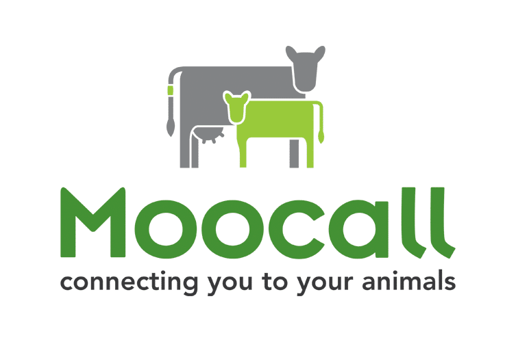 Calving Sensor | Calving Alert Systems | Moocall